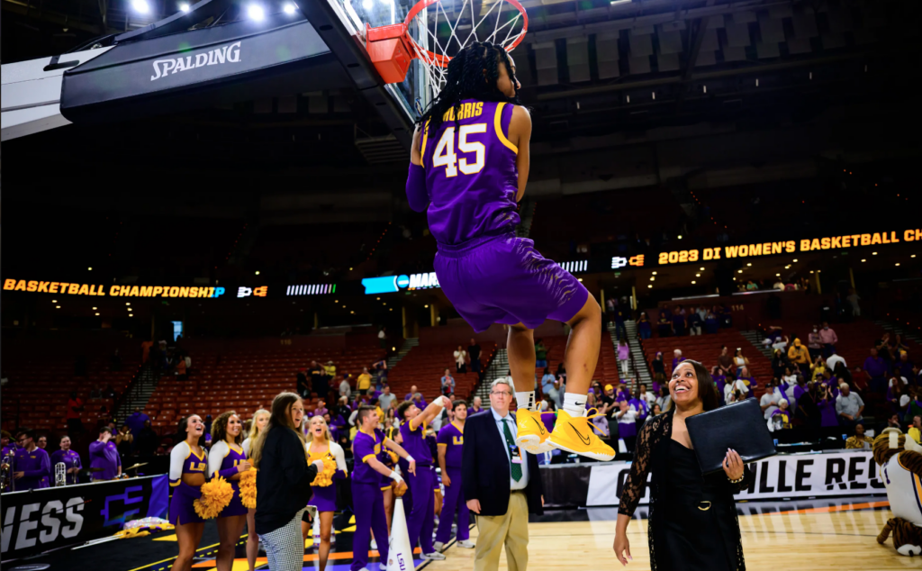 How Alexis Morris lifted LSU to the Elite Eight - The Next