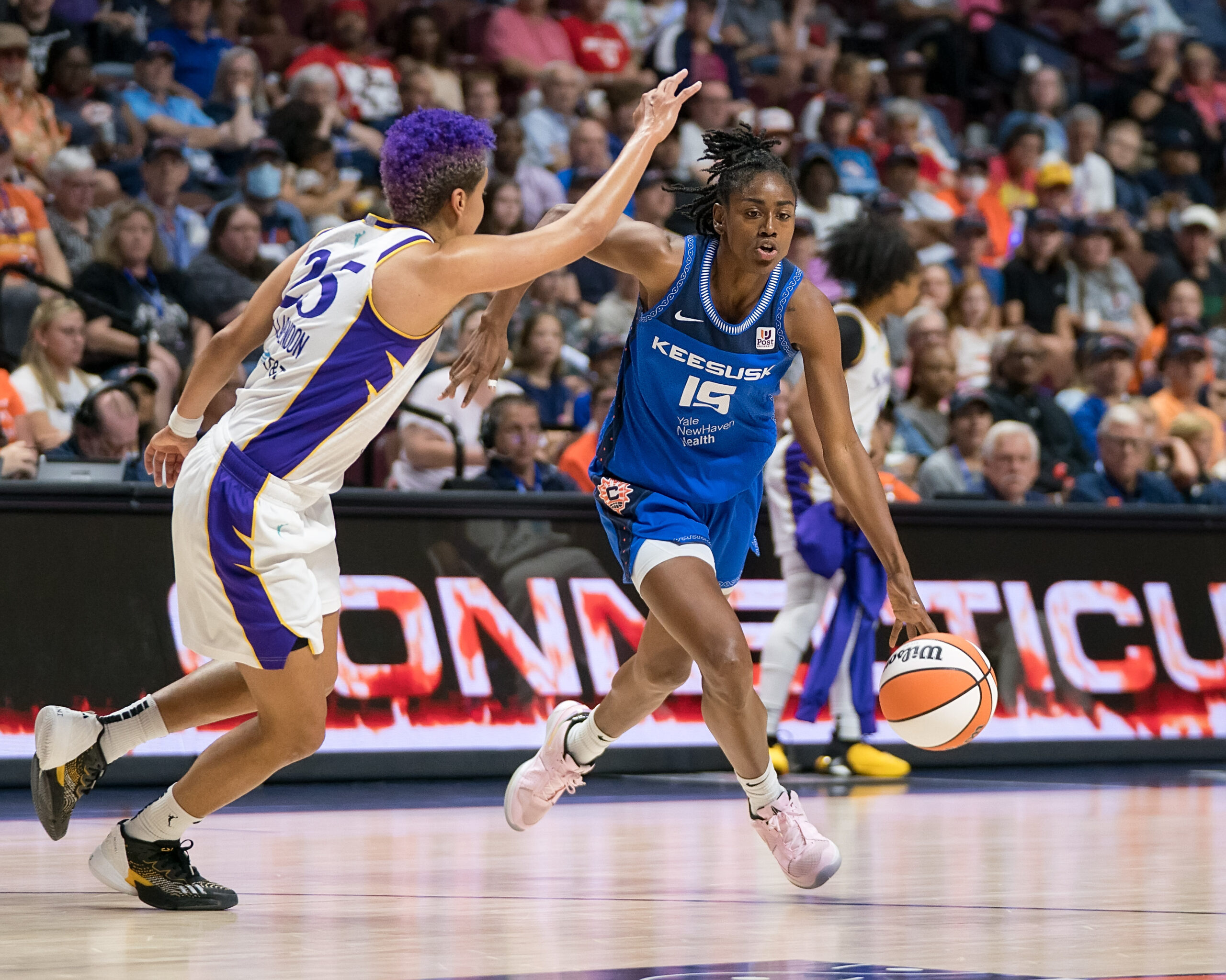 Aces add former All-Star Tiffany Hayes to bolster guard depth - The IX ...