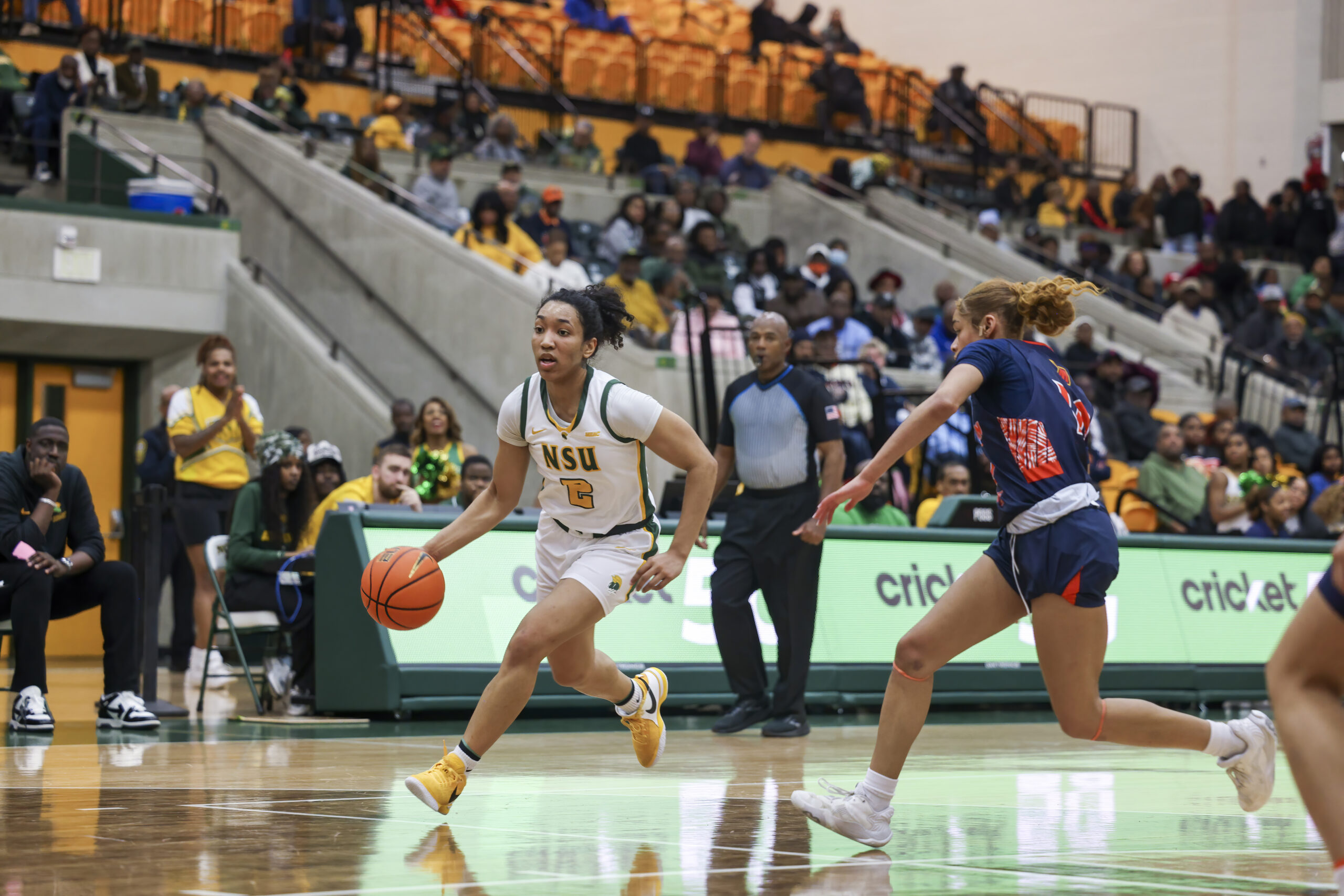 Norfolk State's Niya Fields pointed the way for plenty of winning - The ...